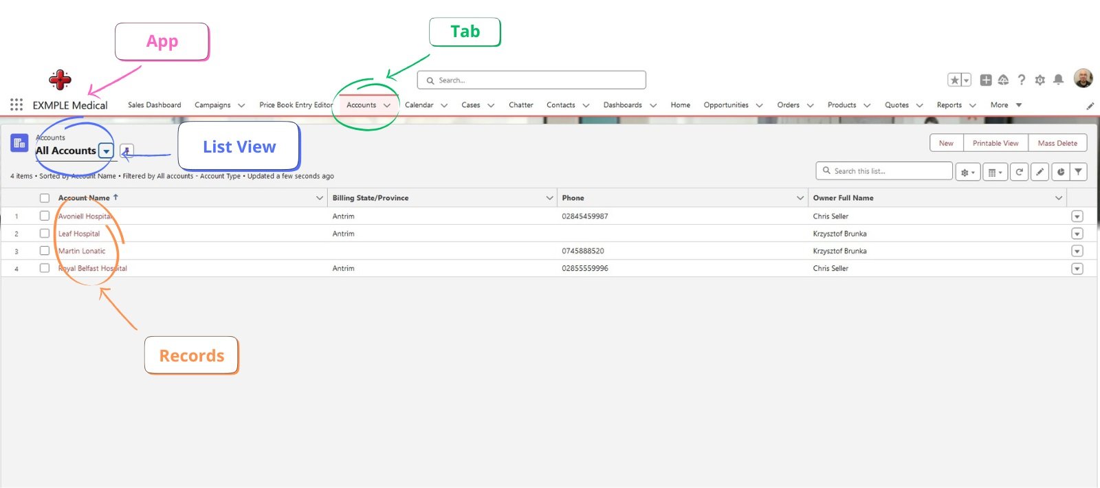 Salesforce Terminology - IntegraLogic